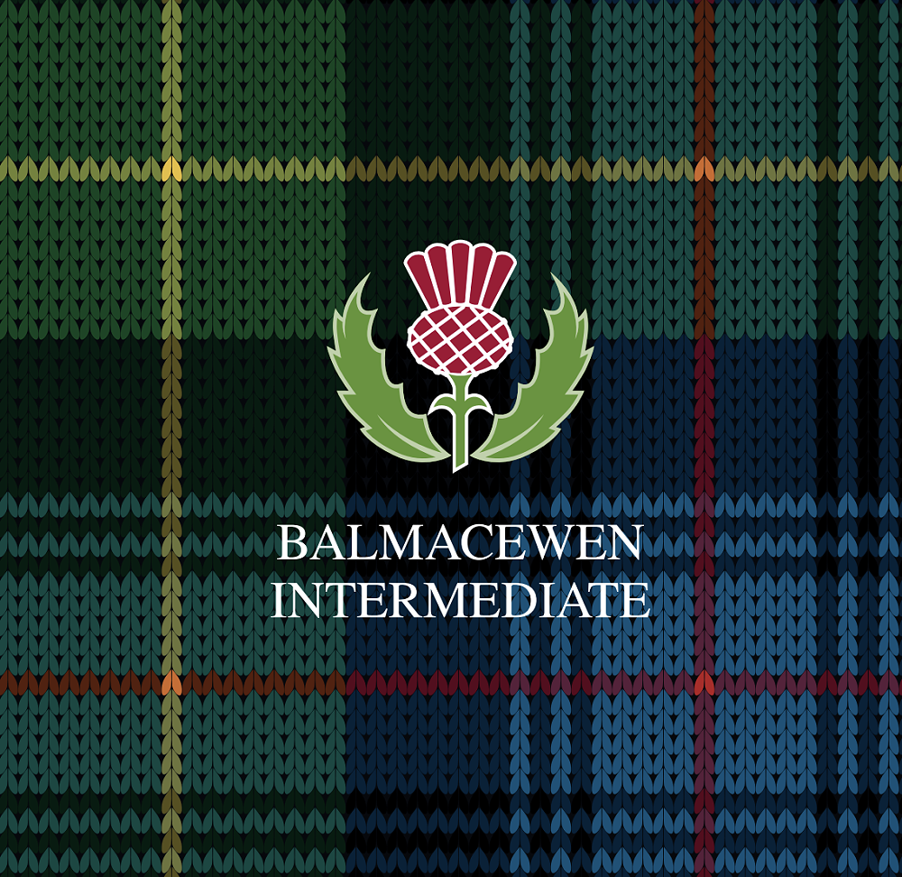 Welcome to Balmacewen Intermediate School!
