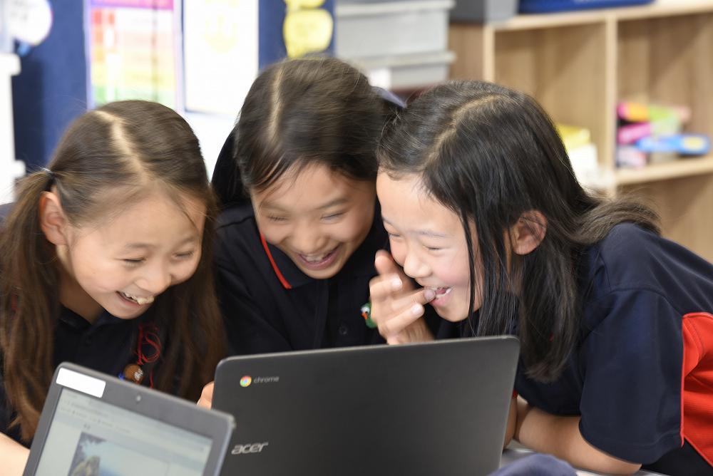 Principal's Message — Newsletter 19 - 28th November 2019