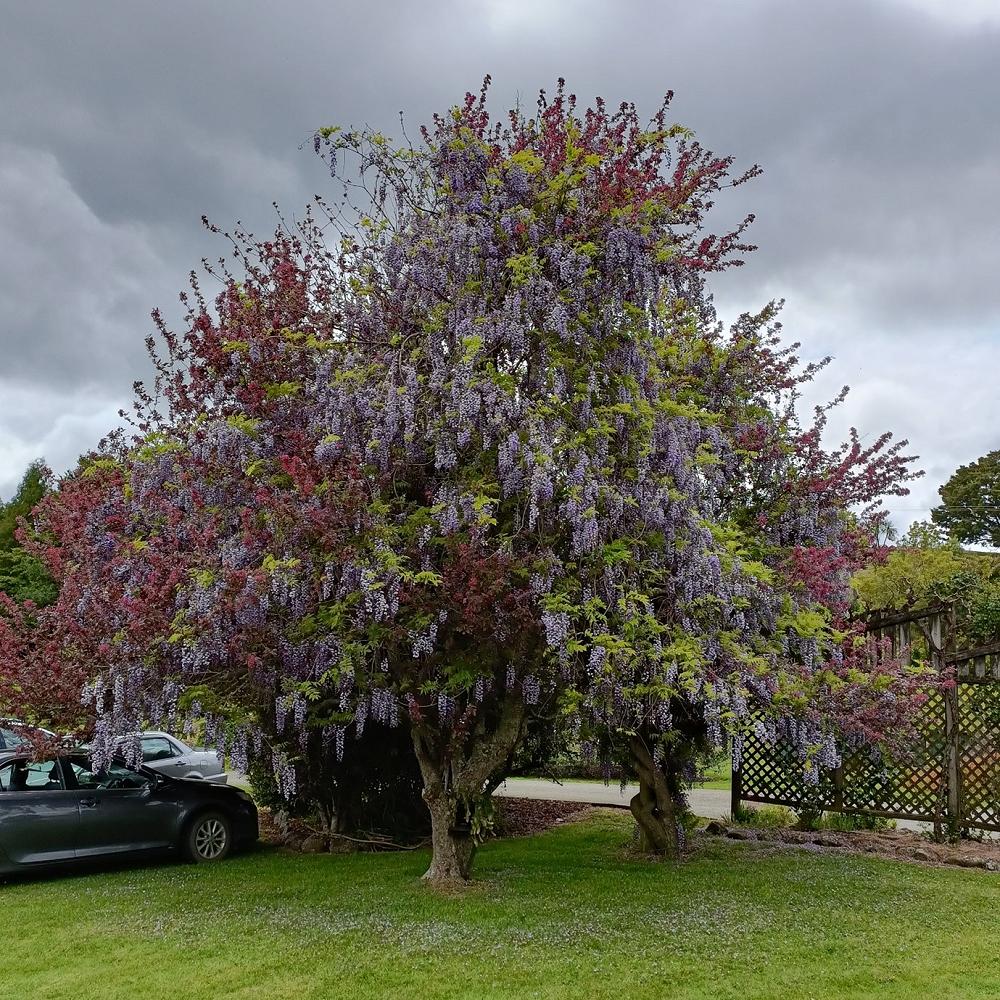 Flourishing with Faith in God