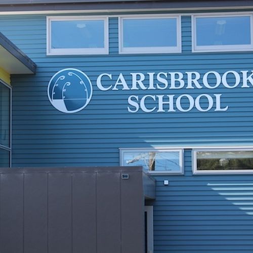 Carisbrook School