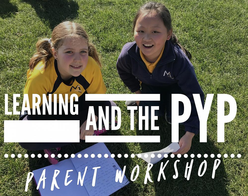 What is the PYP all about?