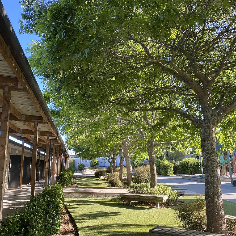 We are halfway through the term!